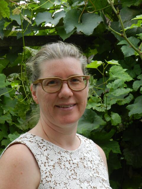 Kandidatinnen im Bezirk Oberpullendorf: Die feminine Seite des ...