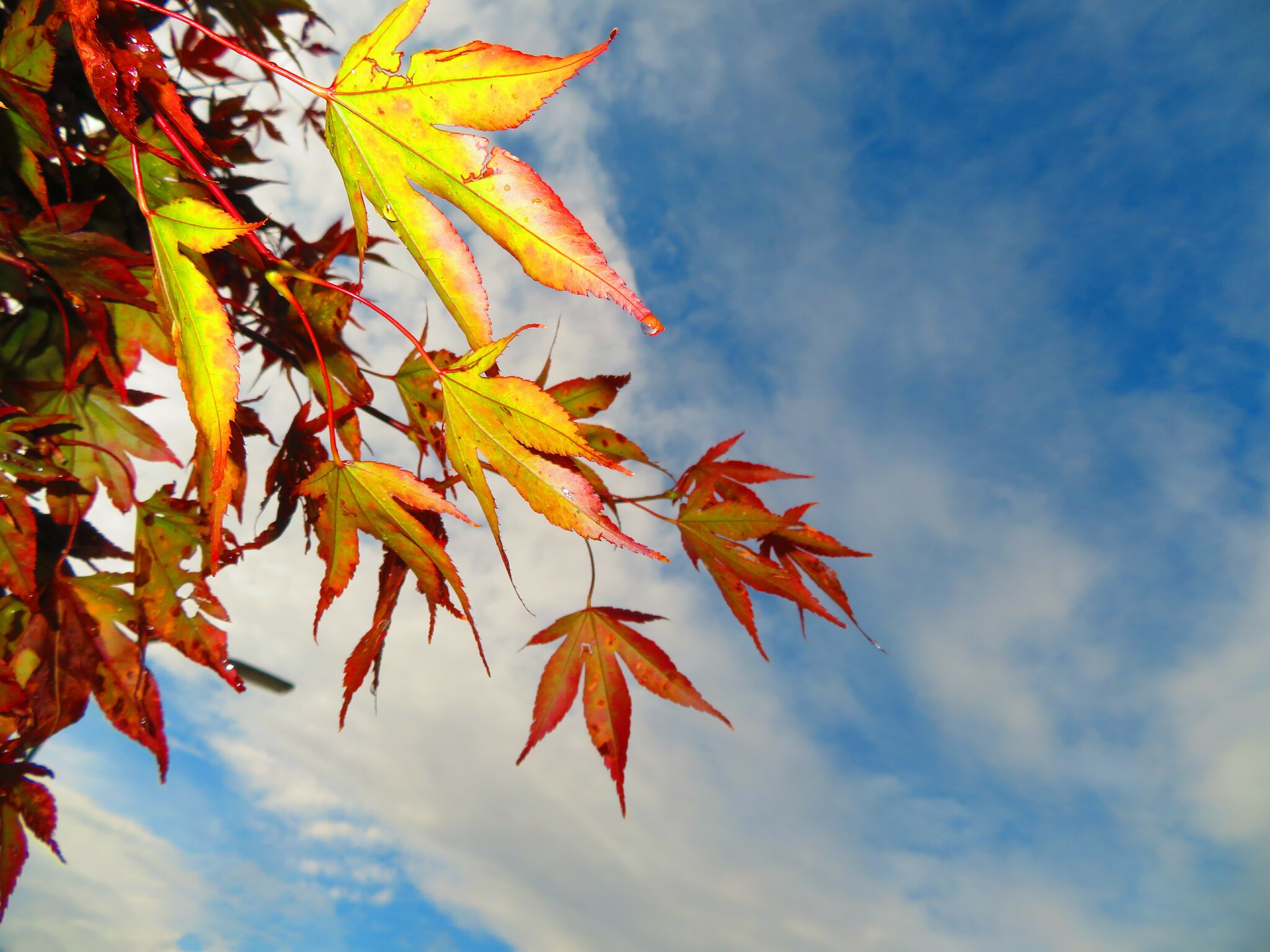 Herbstzeit: Herbstbeginn - Villach