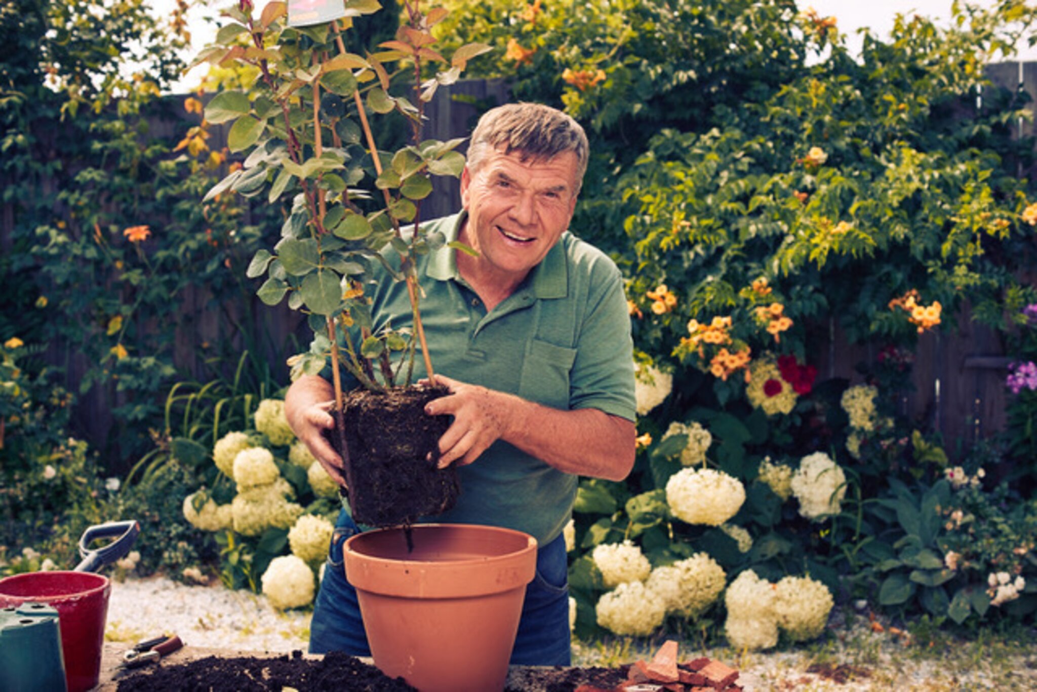 Wirtschaft: „40 Jahre Kittenberger“- die Liebe zur Natur trägt Früchte ...