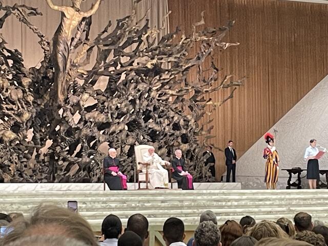 Tirol in Rom (Videos): Papstaudienz, Bischofsmesse im Dom und viele ...