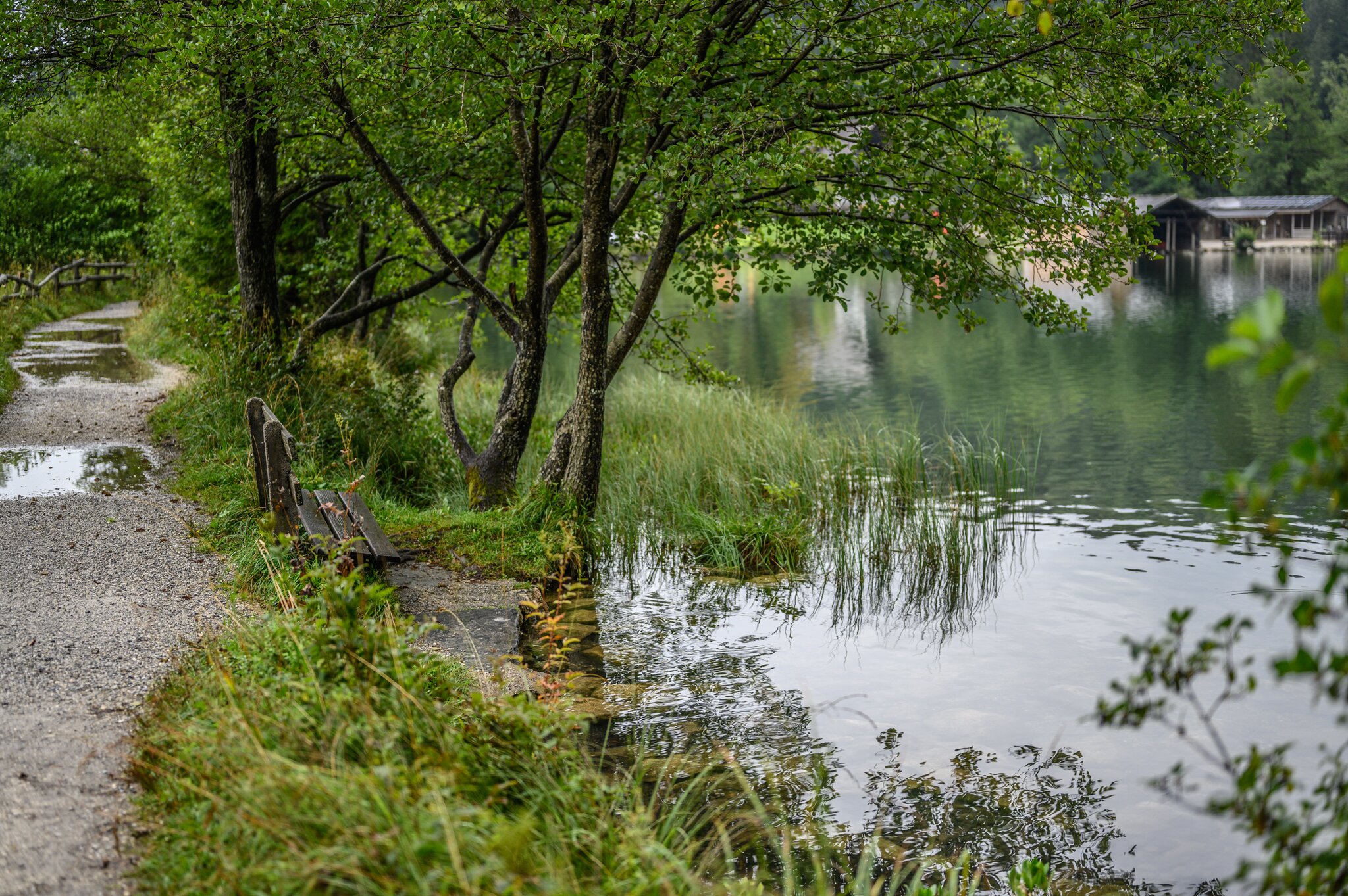 Regenspaziergang: Gleinkersee - Kirchdorf