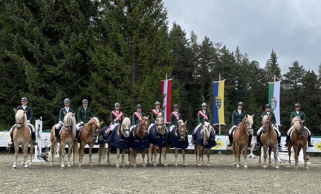 Bundesmeisterschaften der Haflinger: Zwölf Bundesmeistertitel für ...