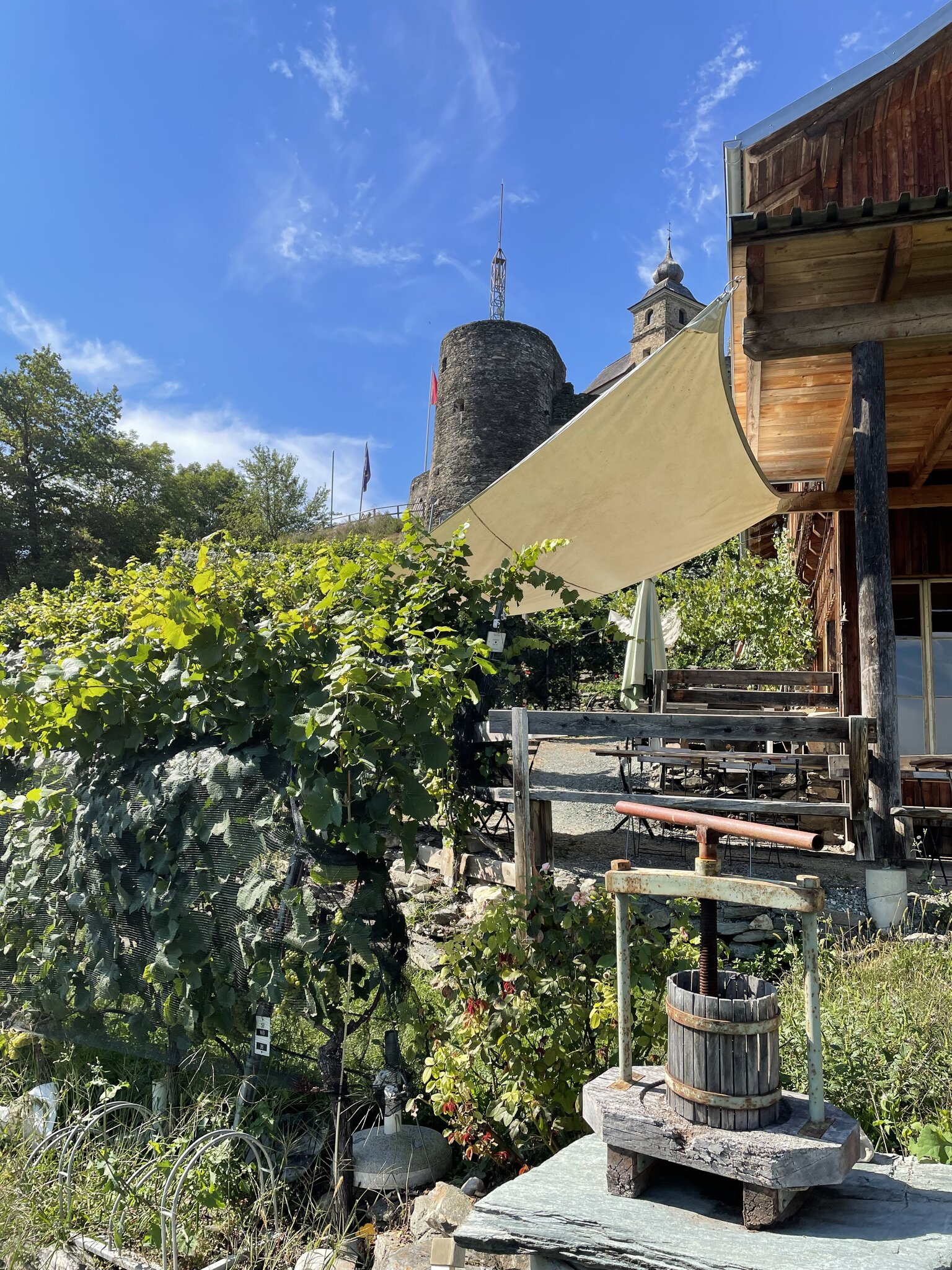 Sturm und Weinfest: Ein Fest mit Sturm, Wein, Kastanien und Musik ...