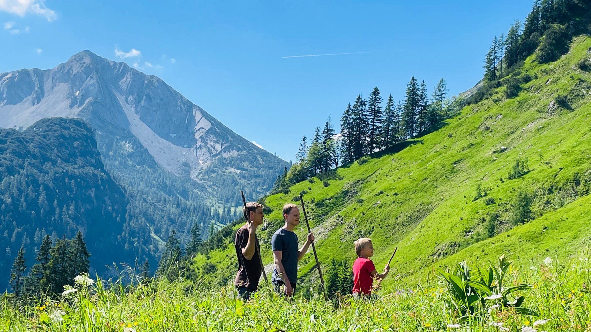 Gestalter Dominik Walser: Heimat Österreich – "Almleben im Karwendel ...