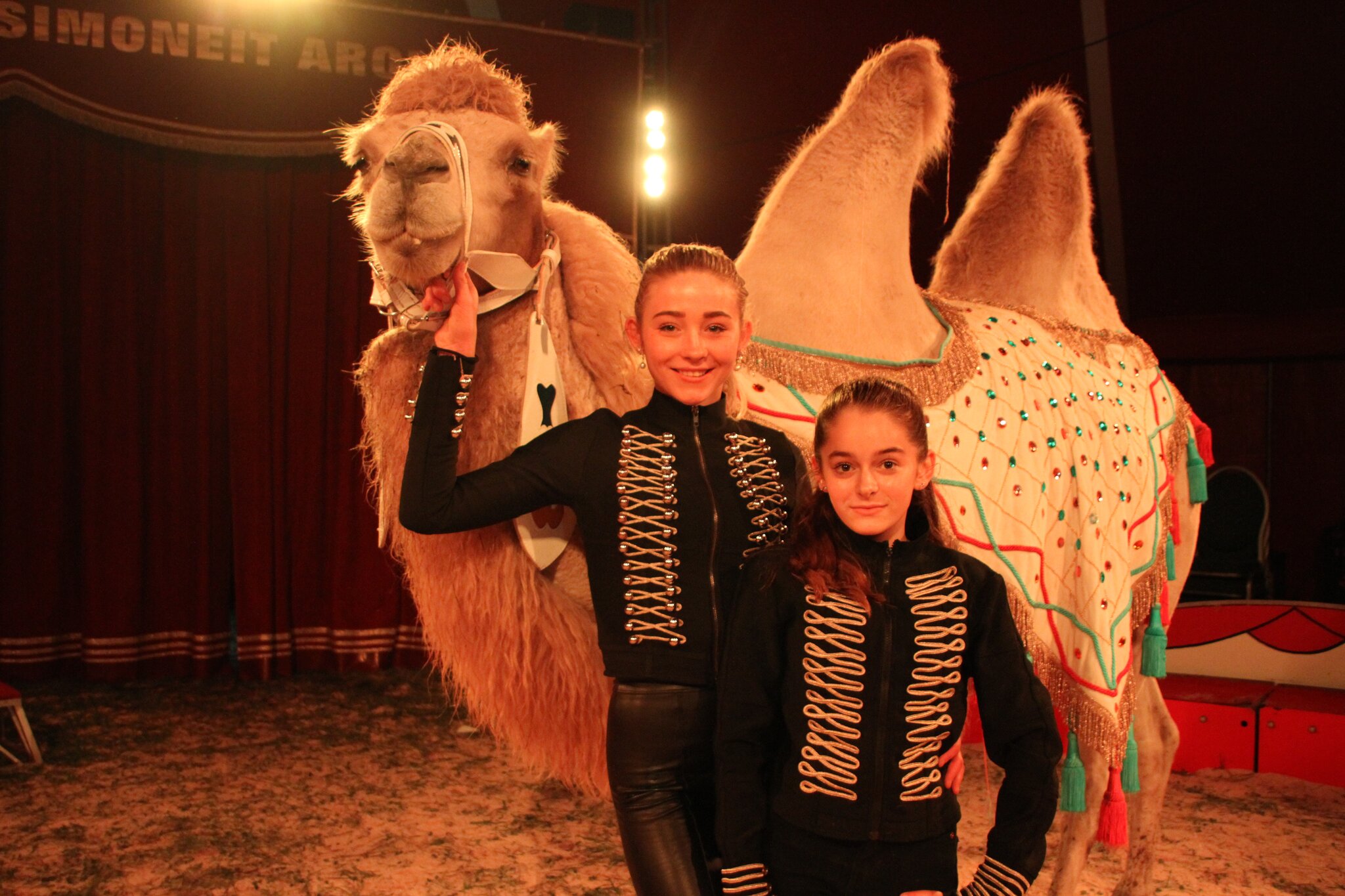 Zirkus Shows: Circus Aron gastiert in Thalgau - Flachgau