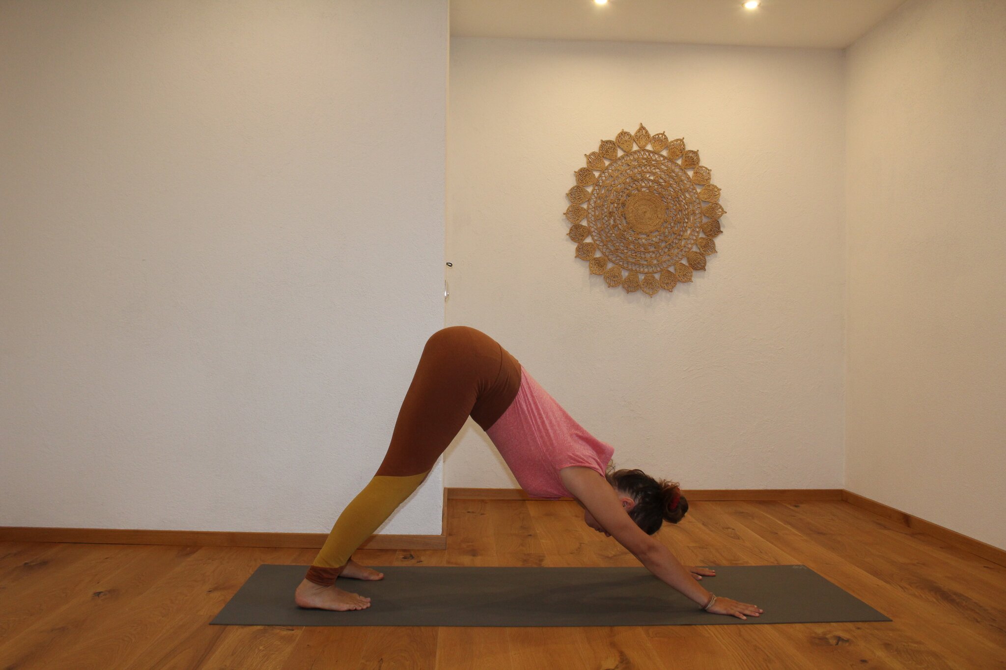 Mit Yoga durchs Jahr: "Adhomukha Shvanasana" (der herabschauende Hund ...