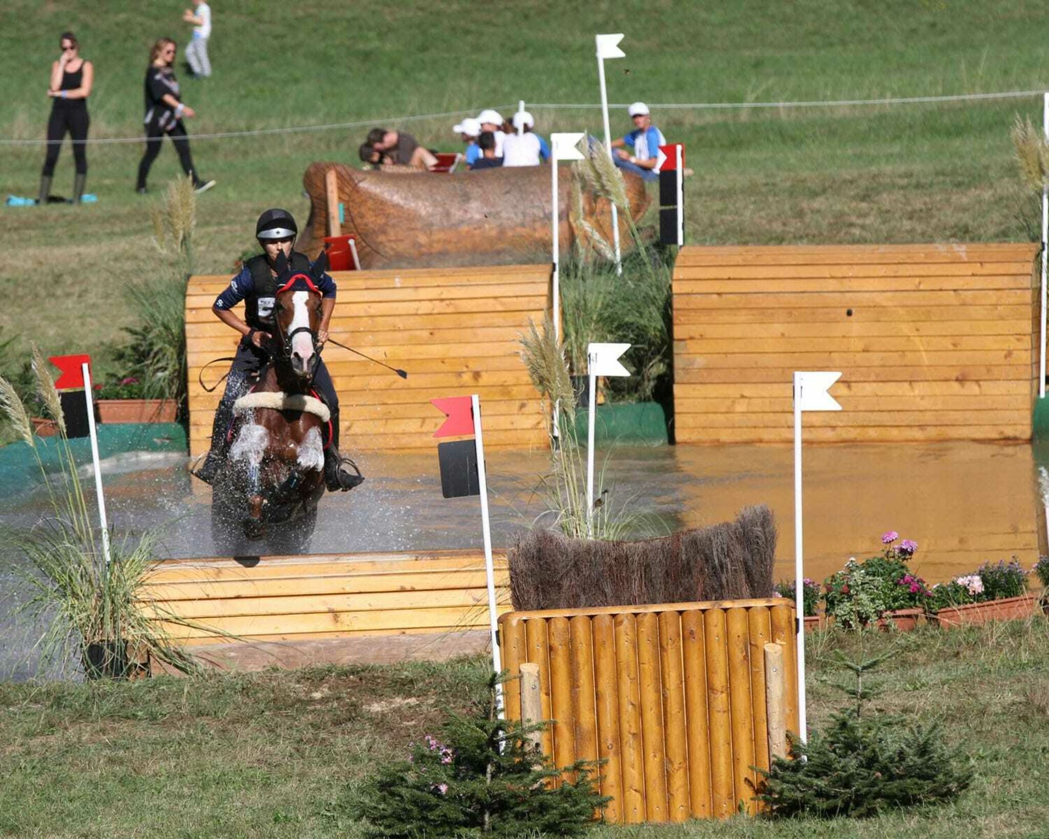 Reitsport: Lisa Held holt mit Österreich Bronze beim European Cup ...