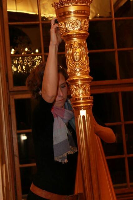 Konzert im Marmorsaal: Charlotte & Friends bei Geras klingt - Horn