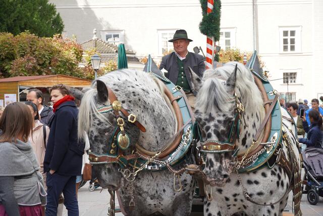 Domkirchweihfest: Salzburg eröffnet den fünftägigen Rupertikirtag ...