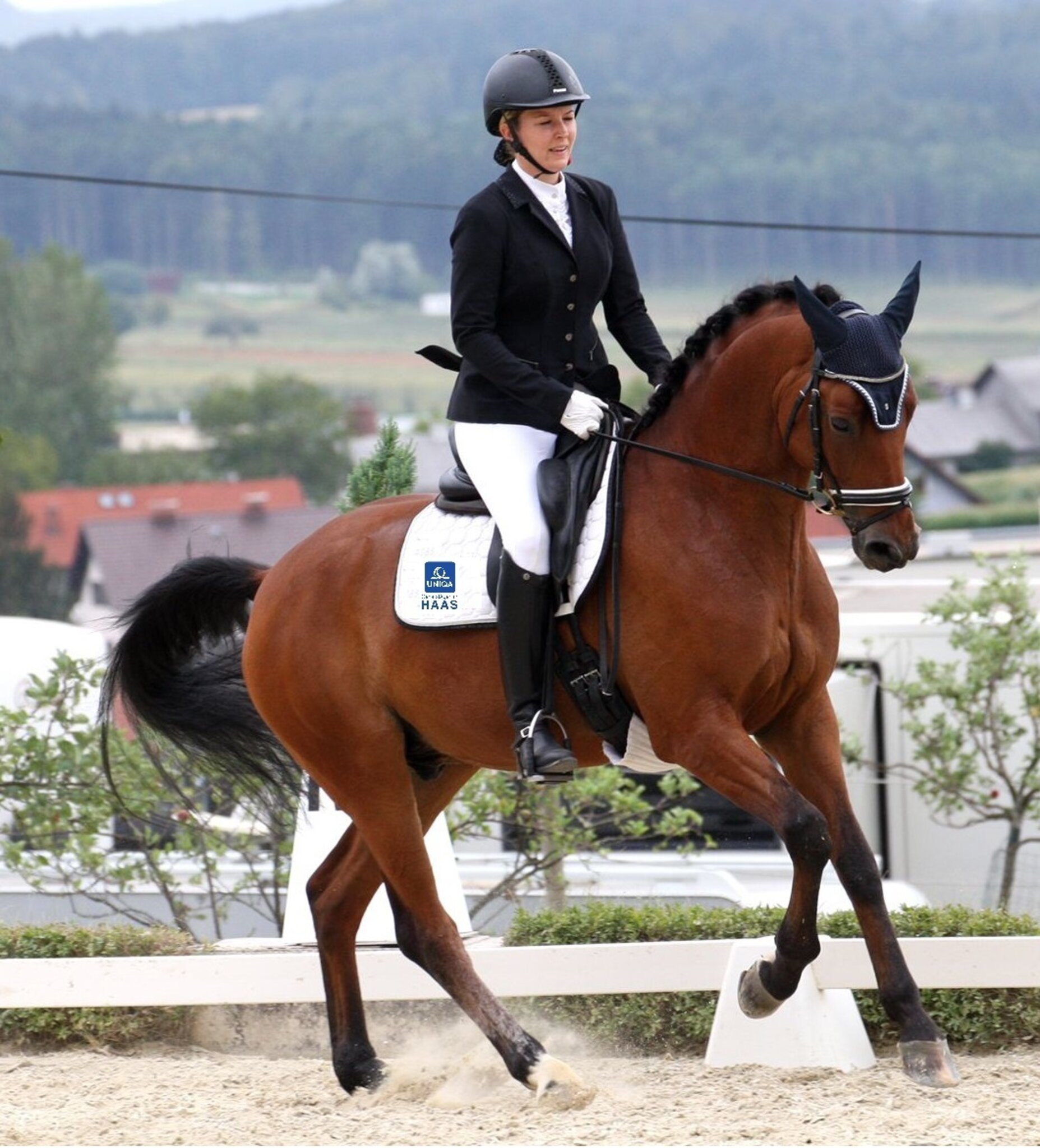 Reitsport: Hartberger Herbst-Reiterturnier findet zum Saisonende statt ...