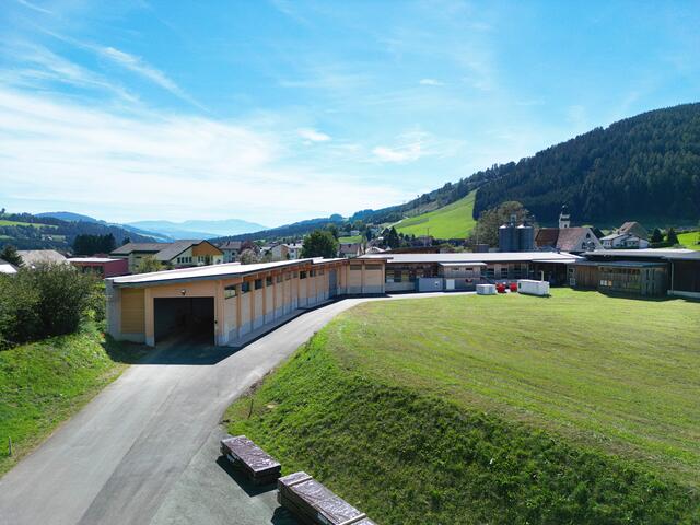 Reichenfels: Weinberger Holz investiert 1,5 Millionen Euro in neue ...