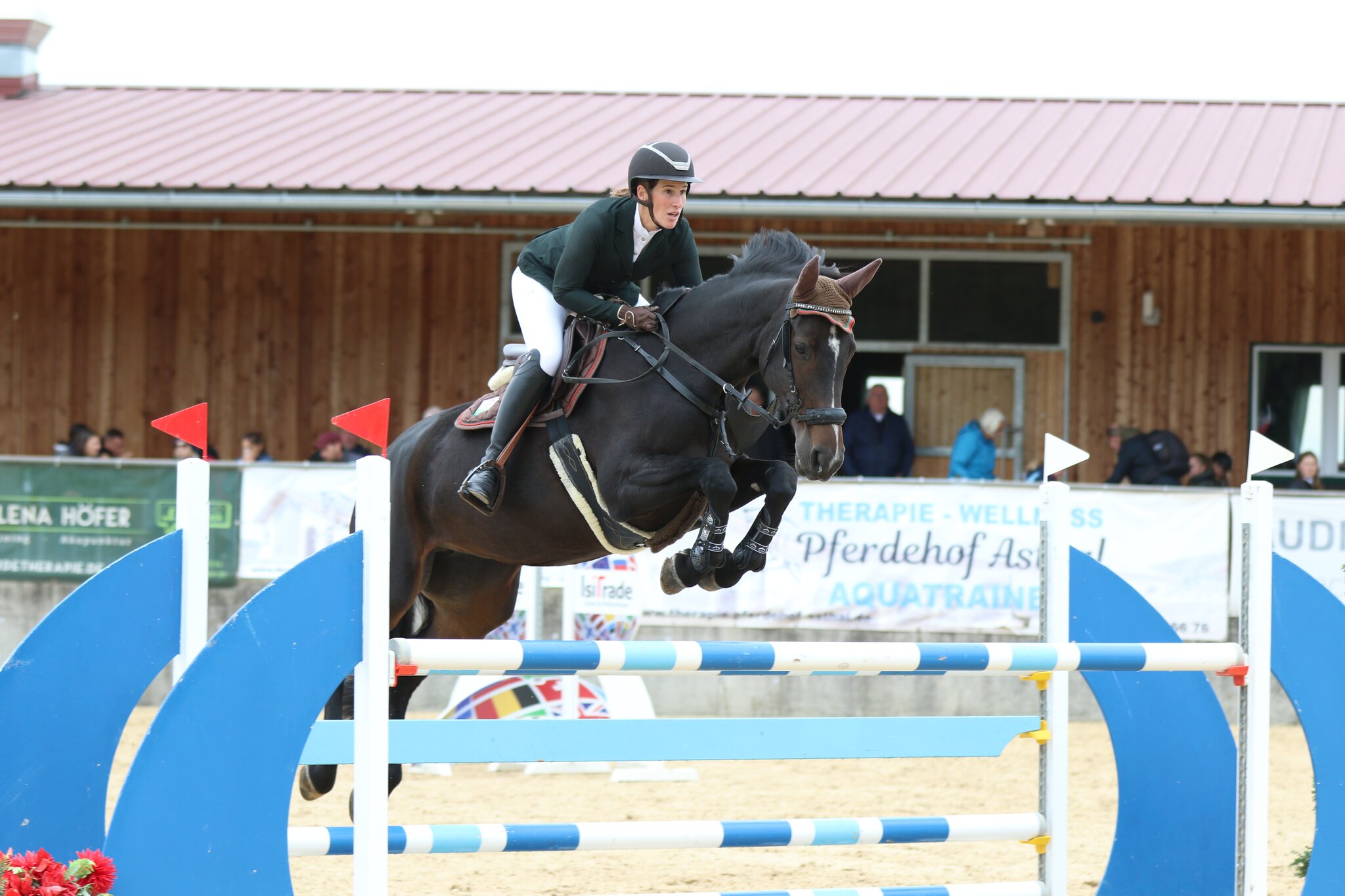 RC Hofinger Ranshofen: Ranshofner Reiter mit drei Spitzenplatzierungen ...