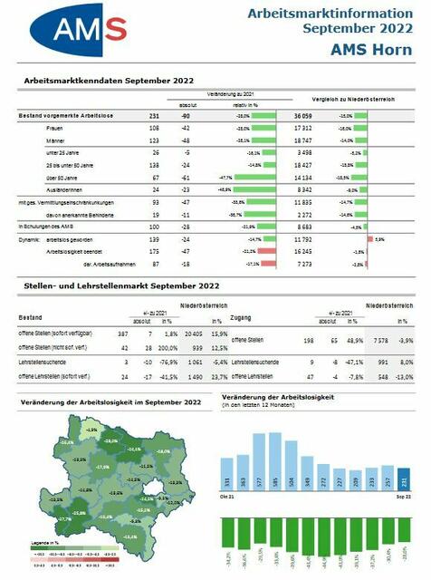 AMS Horn: Situation am Arbeitsmarkt bleibt derzeit positiv - Horn