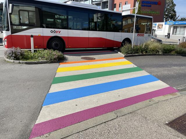 Regenbogen-Zebrastreifen - Thema auf meinbezirk.at