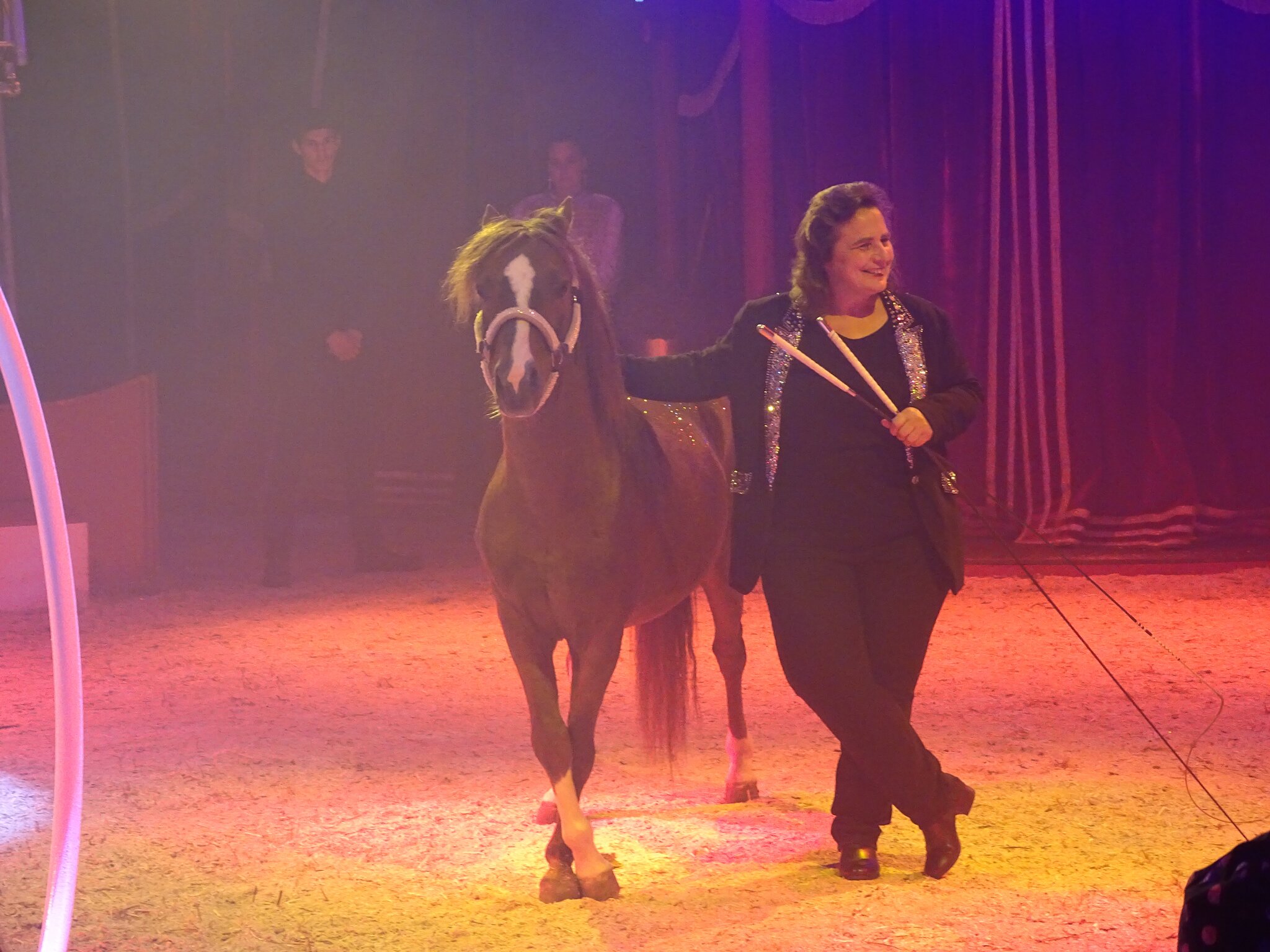 Zirkus Frankello gastierte in Gleiß: "Hereinspaziert, hereinspaziert ...