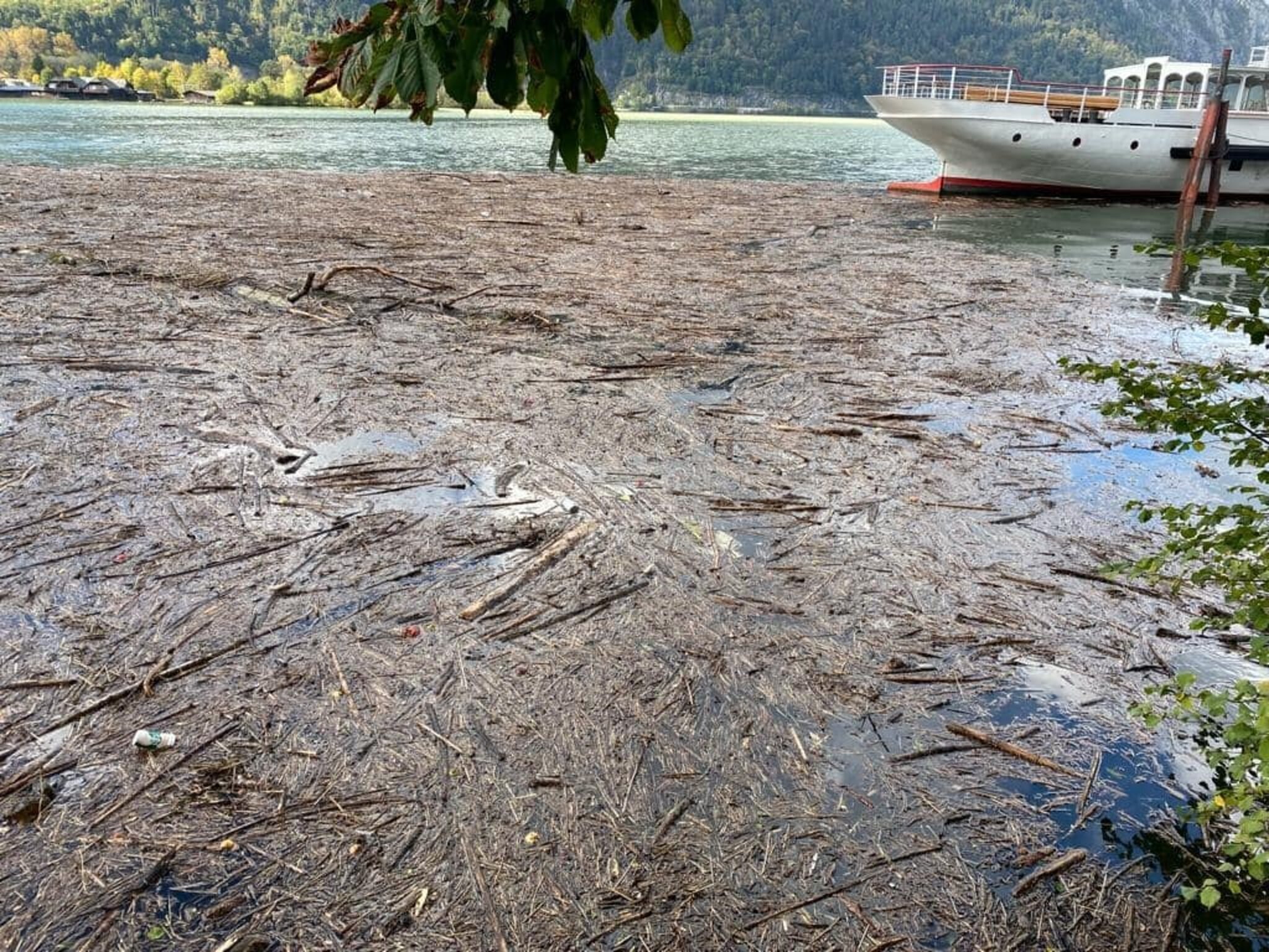 Ebensee wird mit Schwemmholz-Problem allein gelassen - Salzkammergut