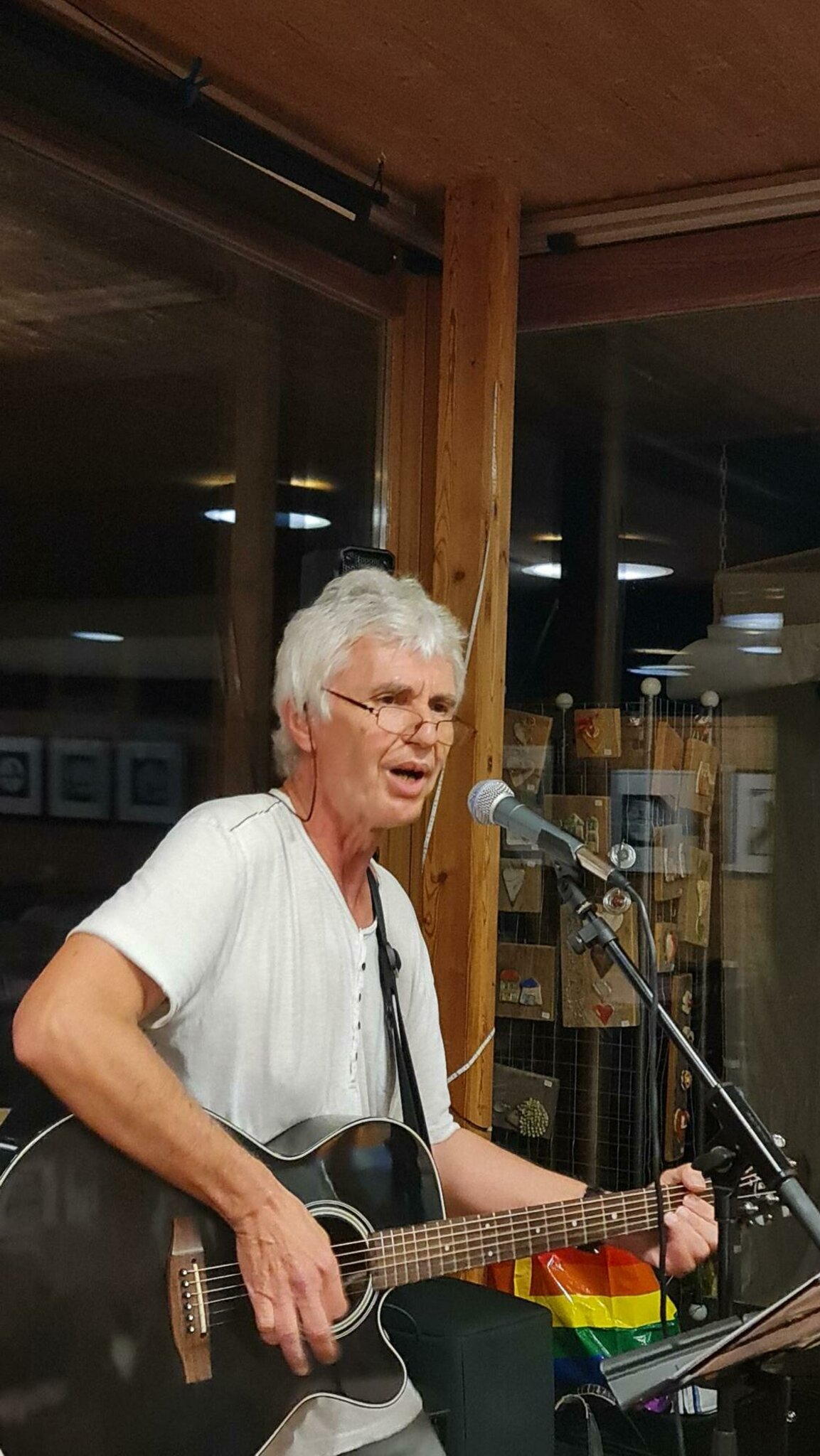 Solokonzert am Aichwaldsee: Werner Delanoy - Villach Land