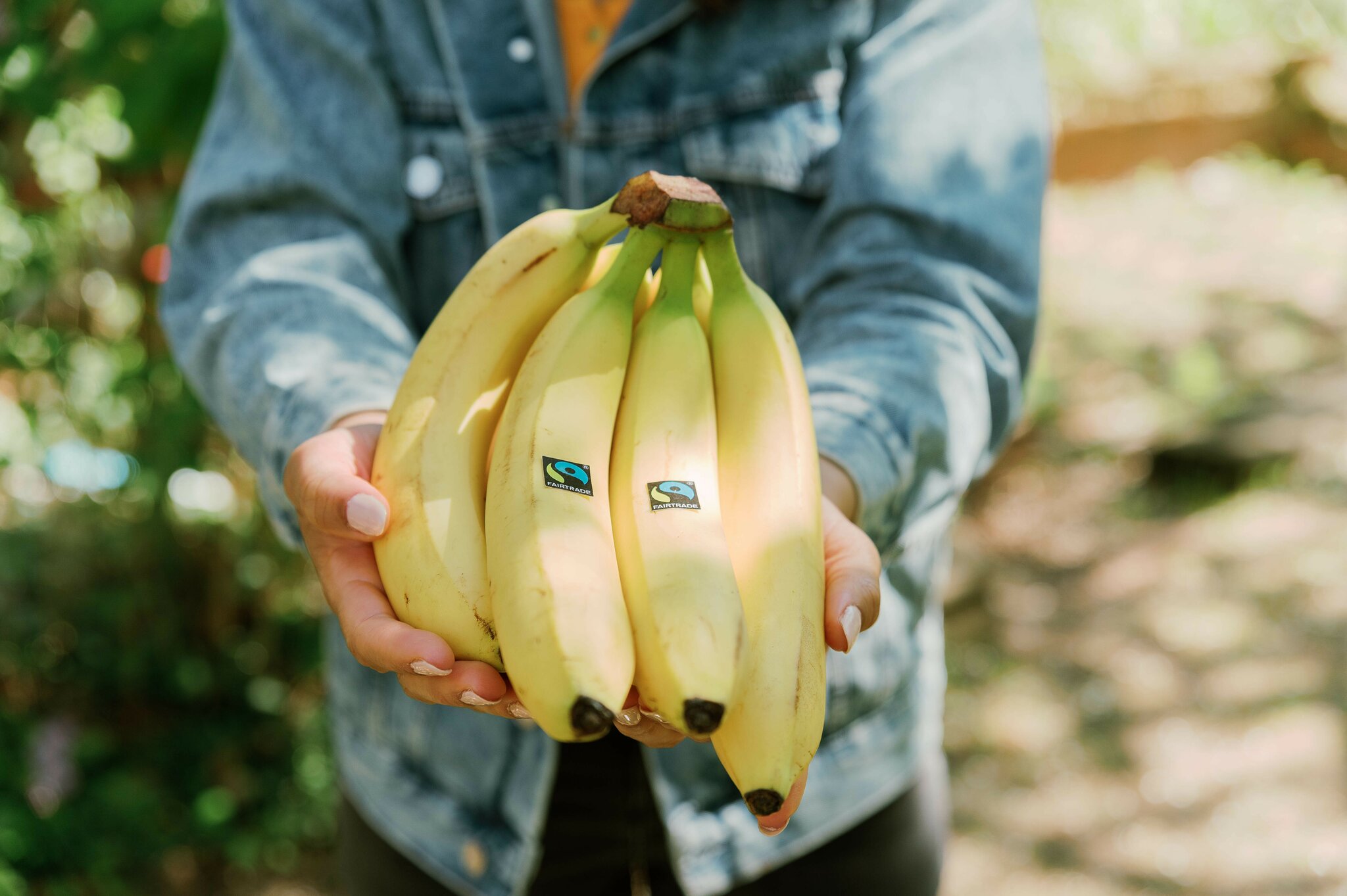 Fairtrade Waidhofen/Ybbs: Bananen verteilt in Waidhofen/Ybbs ...