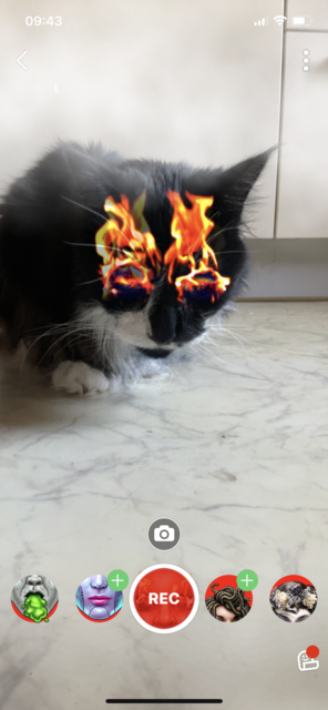 App-Tipp: Monsterfy - Monster Face App - Tirol