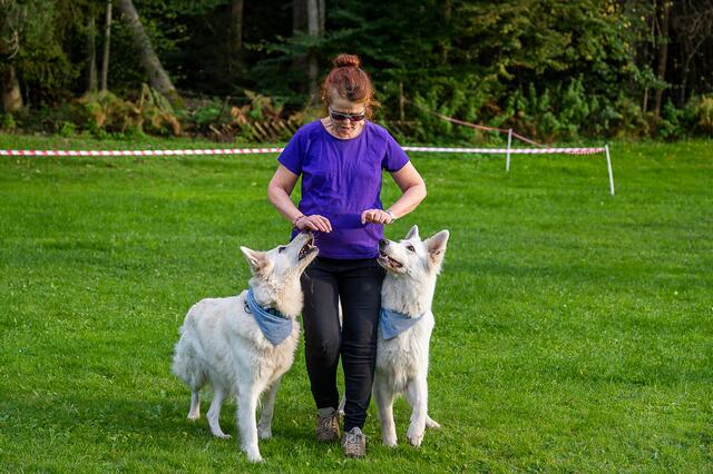 Trendsport für Hunde: Probetraining: Die "Pawlerinas" beim Dog Dancing ...