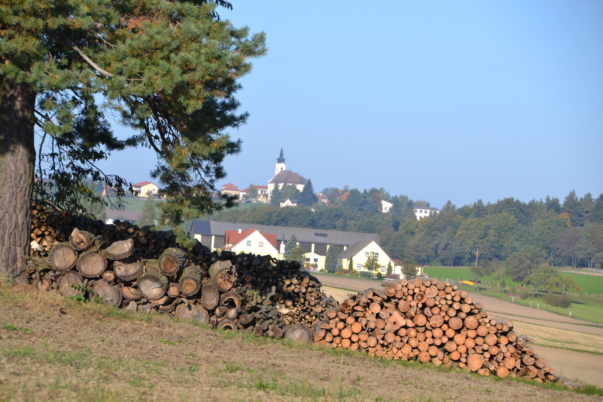 Idylle: St. Leonhard am Hornerwald - Krems