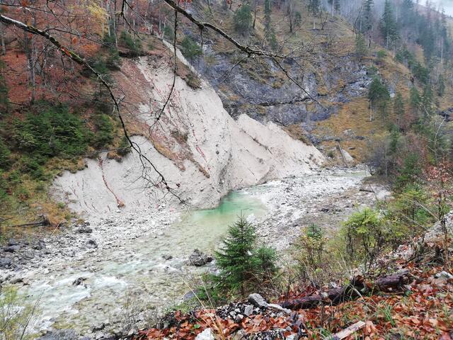 Ursprünglich und unbändig: Exkursion ins Wildnisgebiet Dürrenstein ...