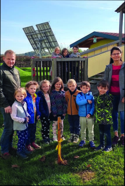 239 neue Bäume: Das war die NÖ Baumpflanzaktion in Gmünd - Gmünd