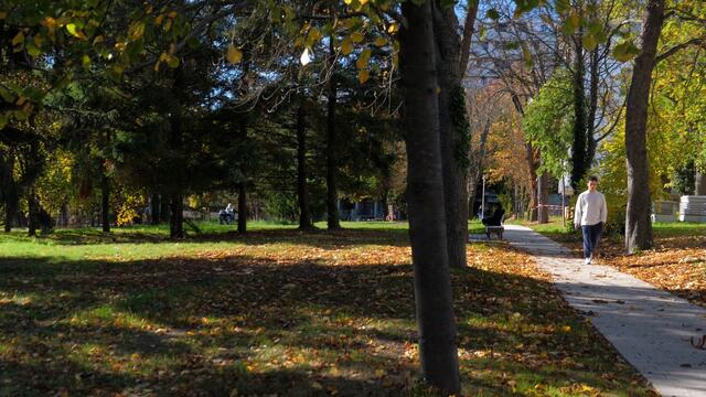 1,5 Hektar Grün: Penzing hat einen neuen Park, benannt nach Jutta ...