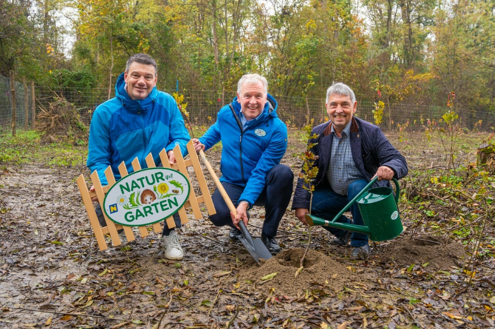 Bam, Oida!: Baumpflanzaktion in allen Gemeinden Niederösterreichs ...
