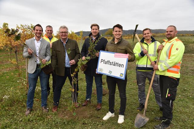 Jungbäume für alle Gemeinden: 554 Bäume im Bezirk Baden gepflanzt - Baden