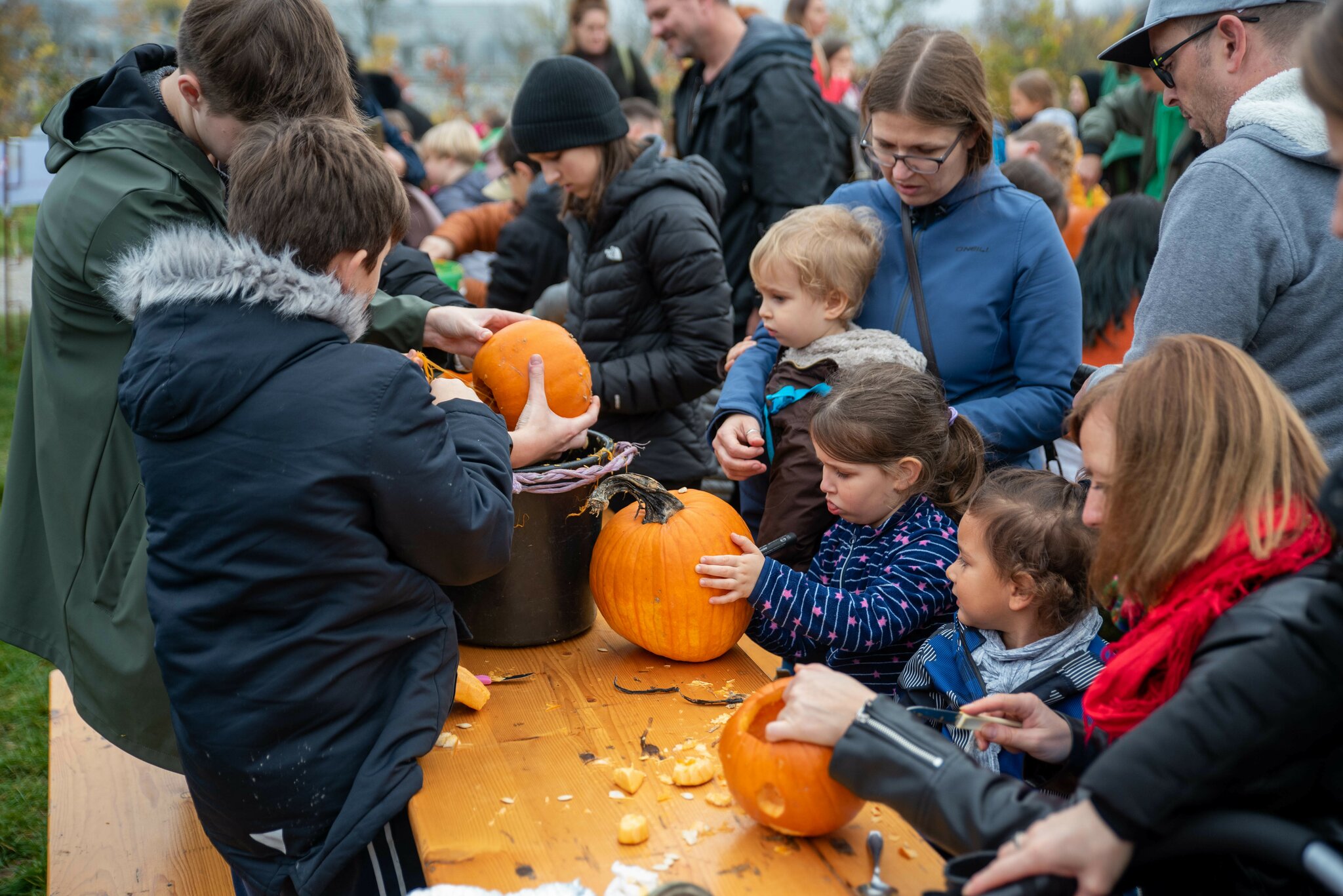 Die besten Fotos aus Döbling: Das war das Kürbisfest Am Himmel 2022 - Döbling