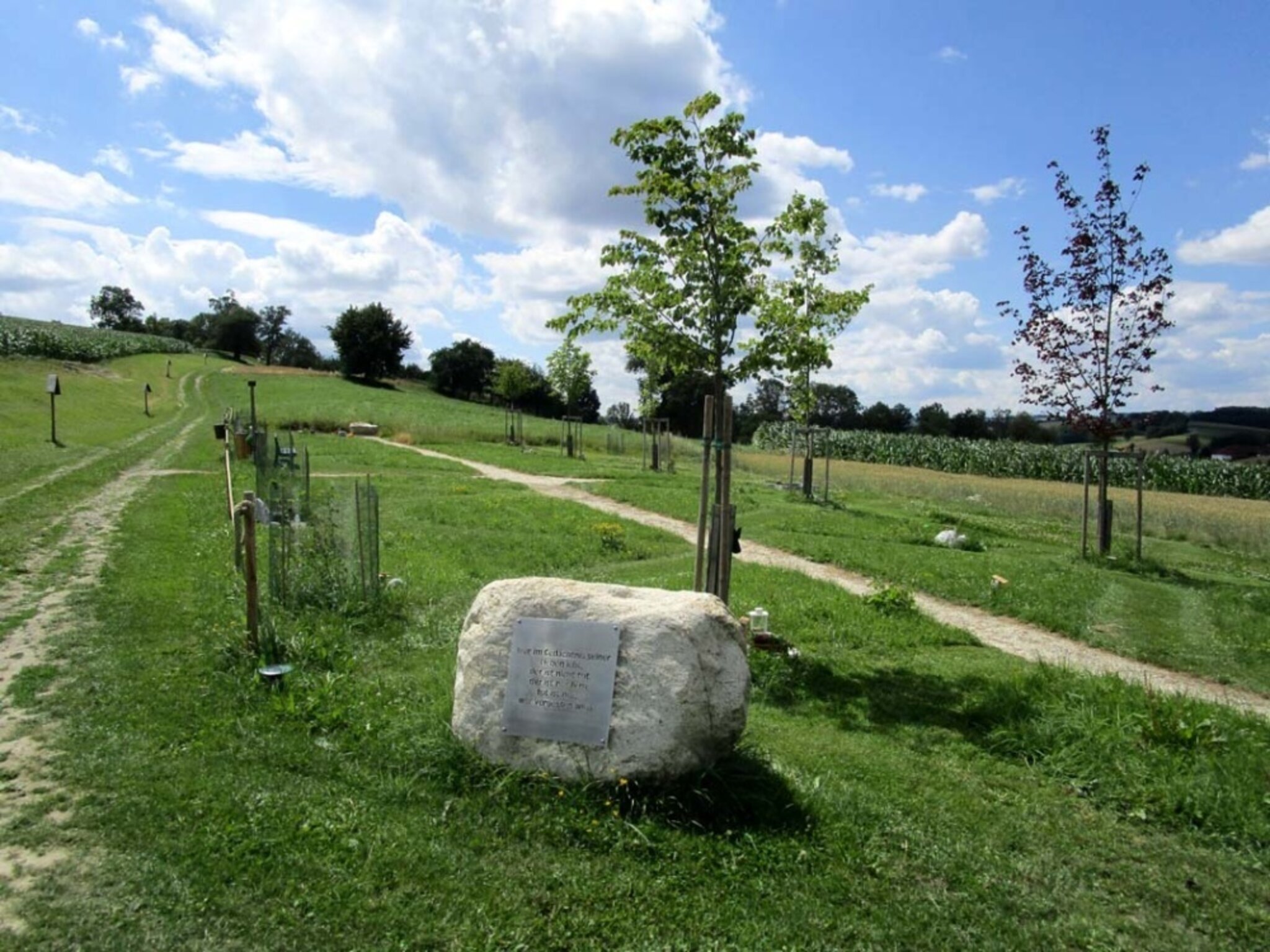 Hausruckviertler Bestatter erzählen: Über neue Formen der Erinnerung ...