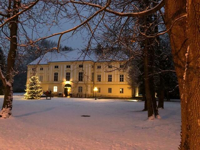 Margarethen am Moos: Adventzauber im Schloss - Steinfeld