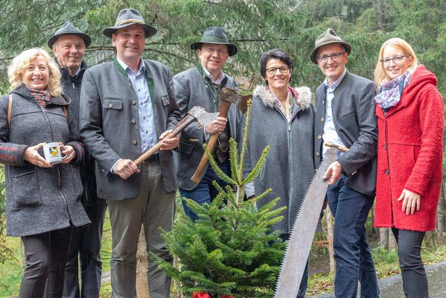Übergabefeier: Ein Christbaum aus Lunz am See für die Landeshauptstadt ...