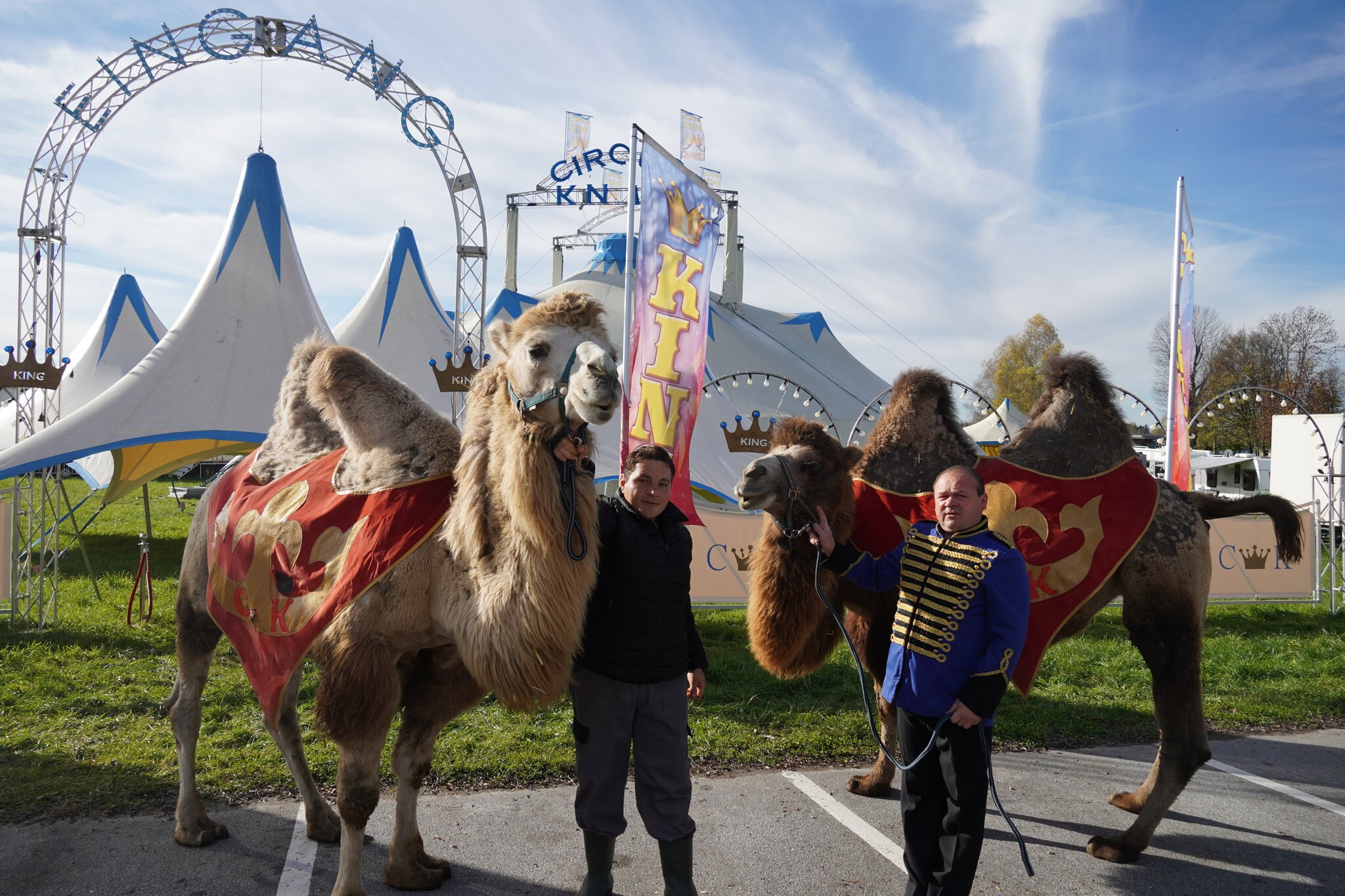 Cirkus King: Fulminante Akrobatik und viele Tiere in der Manege erleben ...
