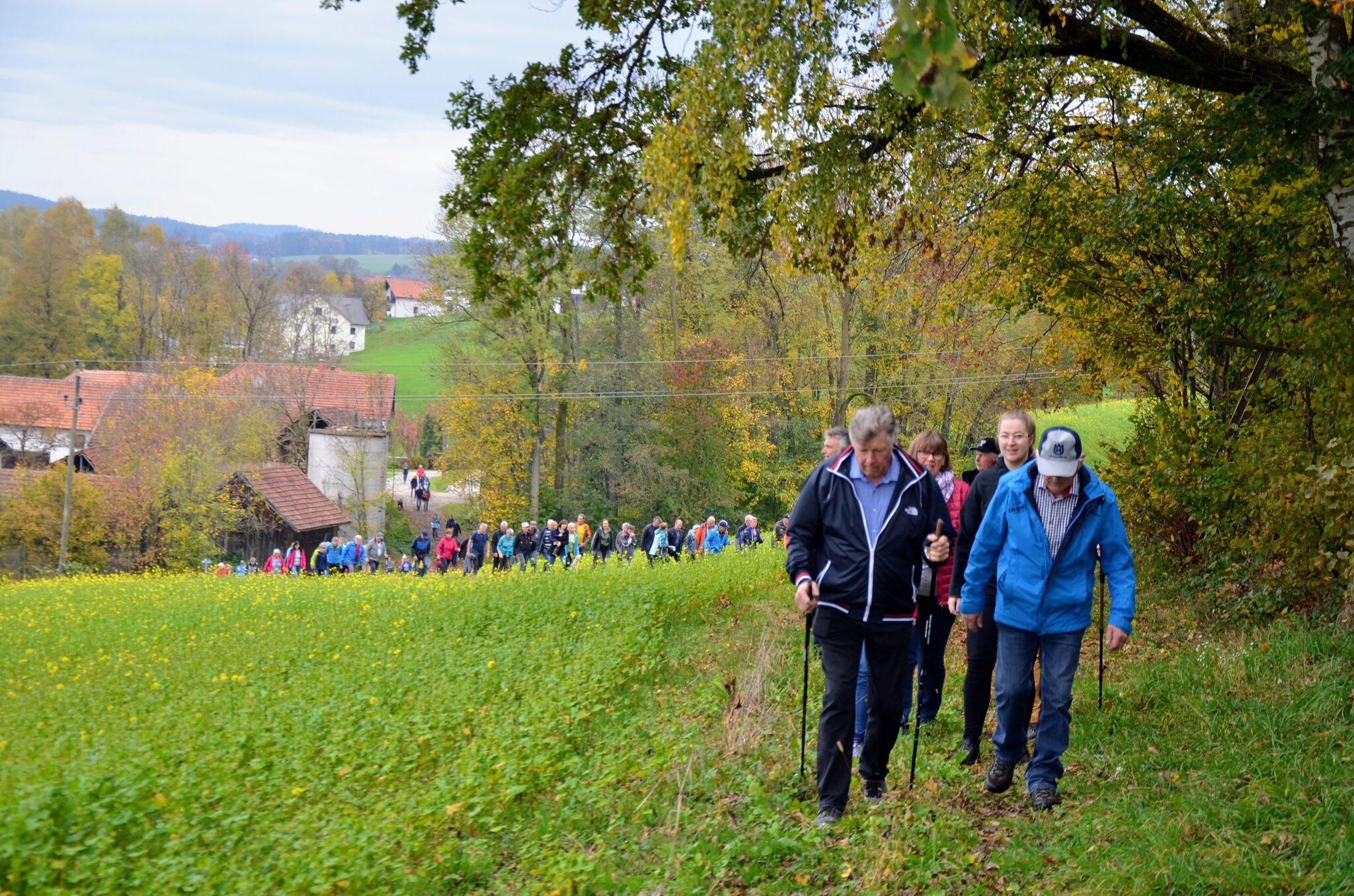 Neuer Wanderweg in Natternbach: Mehr als 150 Gemeindebürger ...