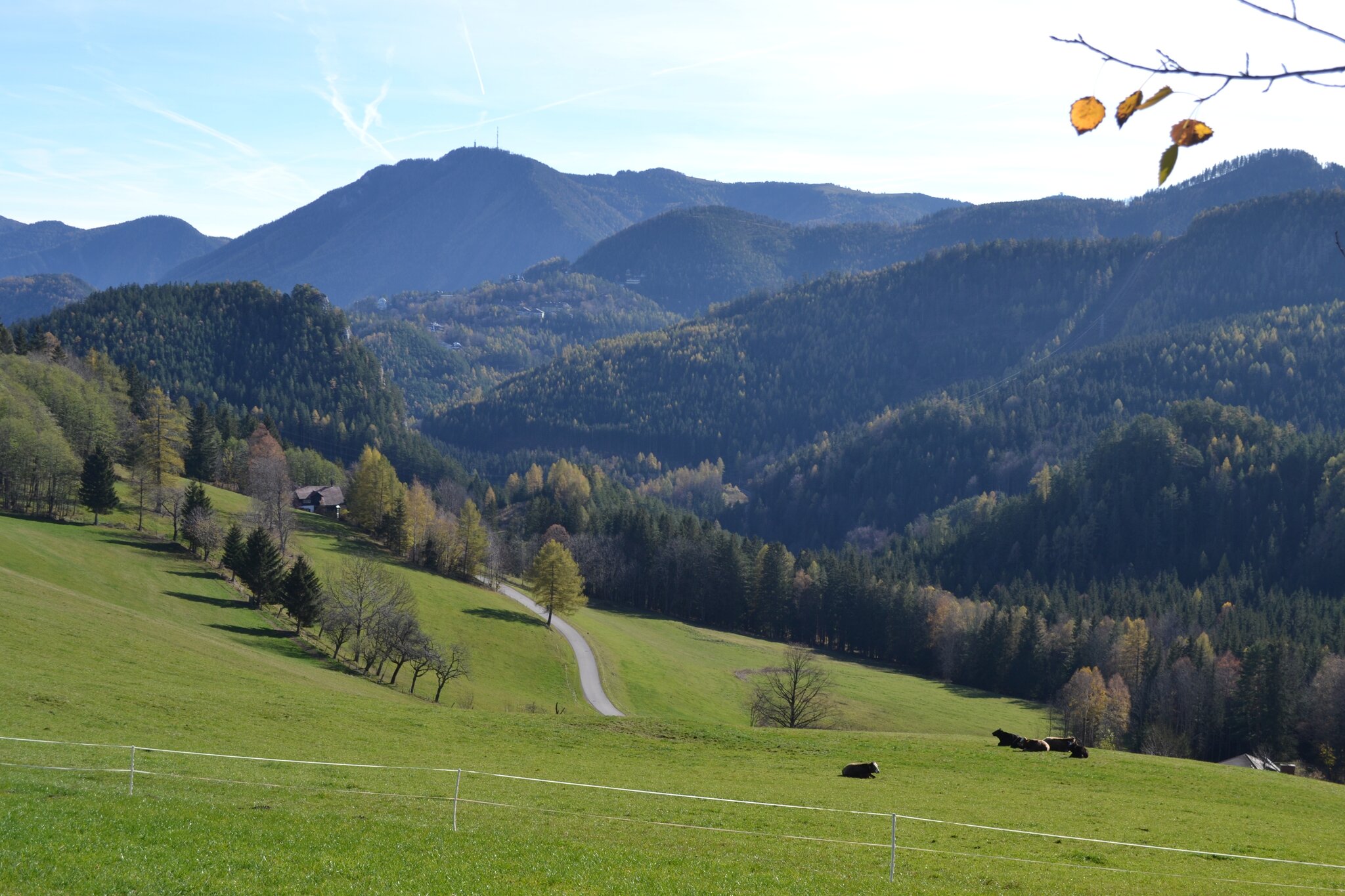 Wandern im Rax- Semmeringgebiet: Von Orthof nach Reichenau - Neunkirchen
