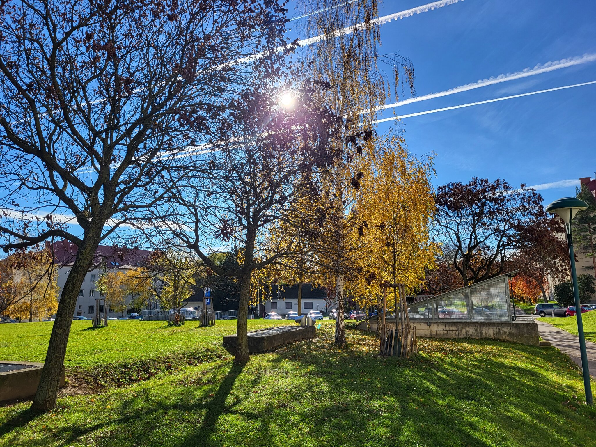 Schmuckstück: Herbst im Gemeindebau - Penzing