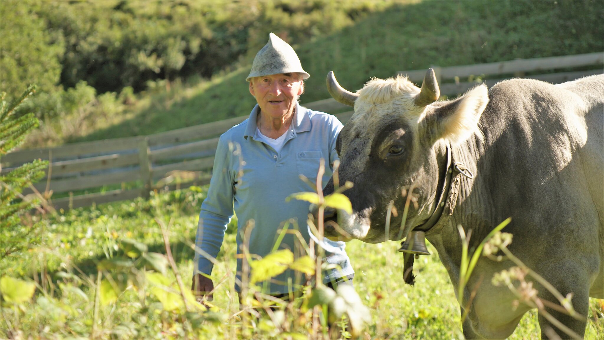 Laponesalm Gschnitztal: Wipptaler bei Heimatleuchten auf ServusTV ...