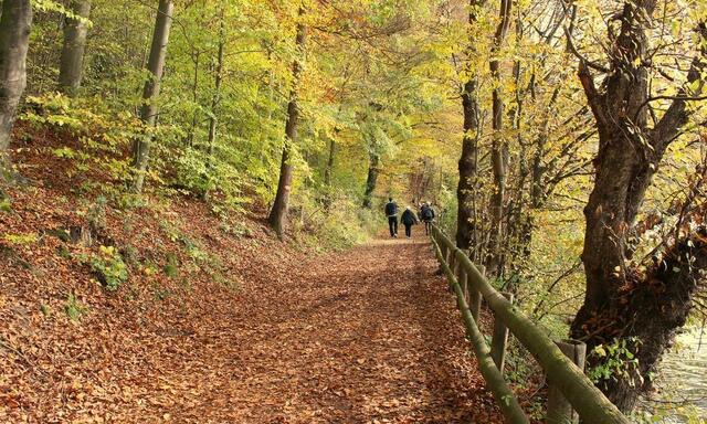 Naherholung: Orienteering-Park sorgt für bewegtes Abenteuer am ...