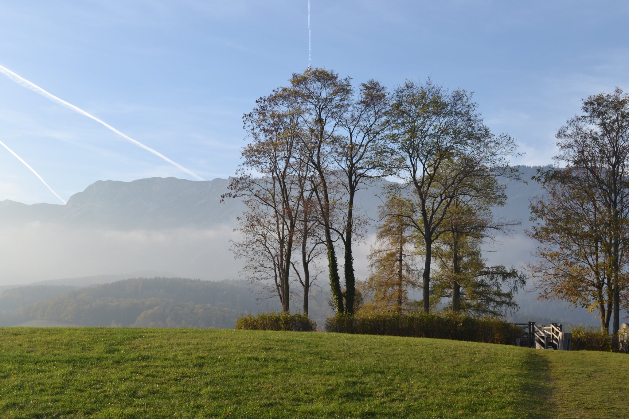 Natur beobachten, Wandern im Raxgebiet: Auf der Kletschka Höhe ...