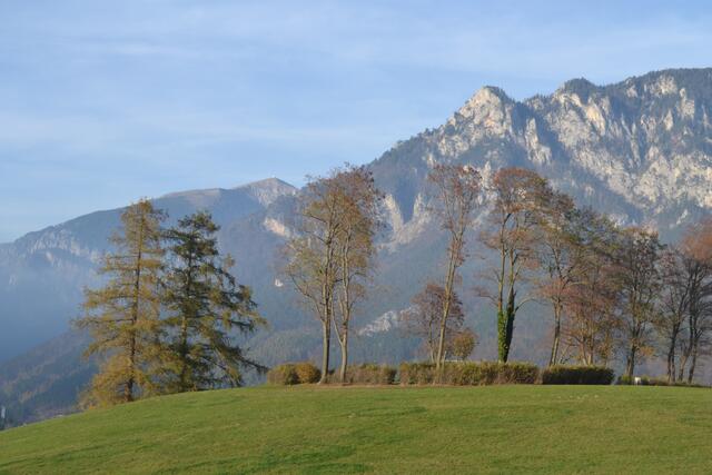 Natur beobachten, Wandern im Raxgebiet: Auf der Kletschka Höhe ...