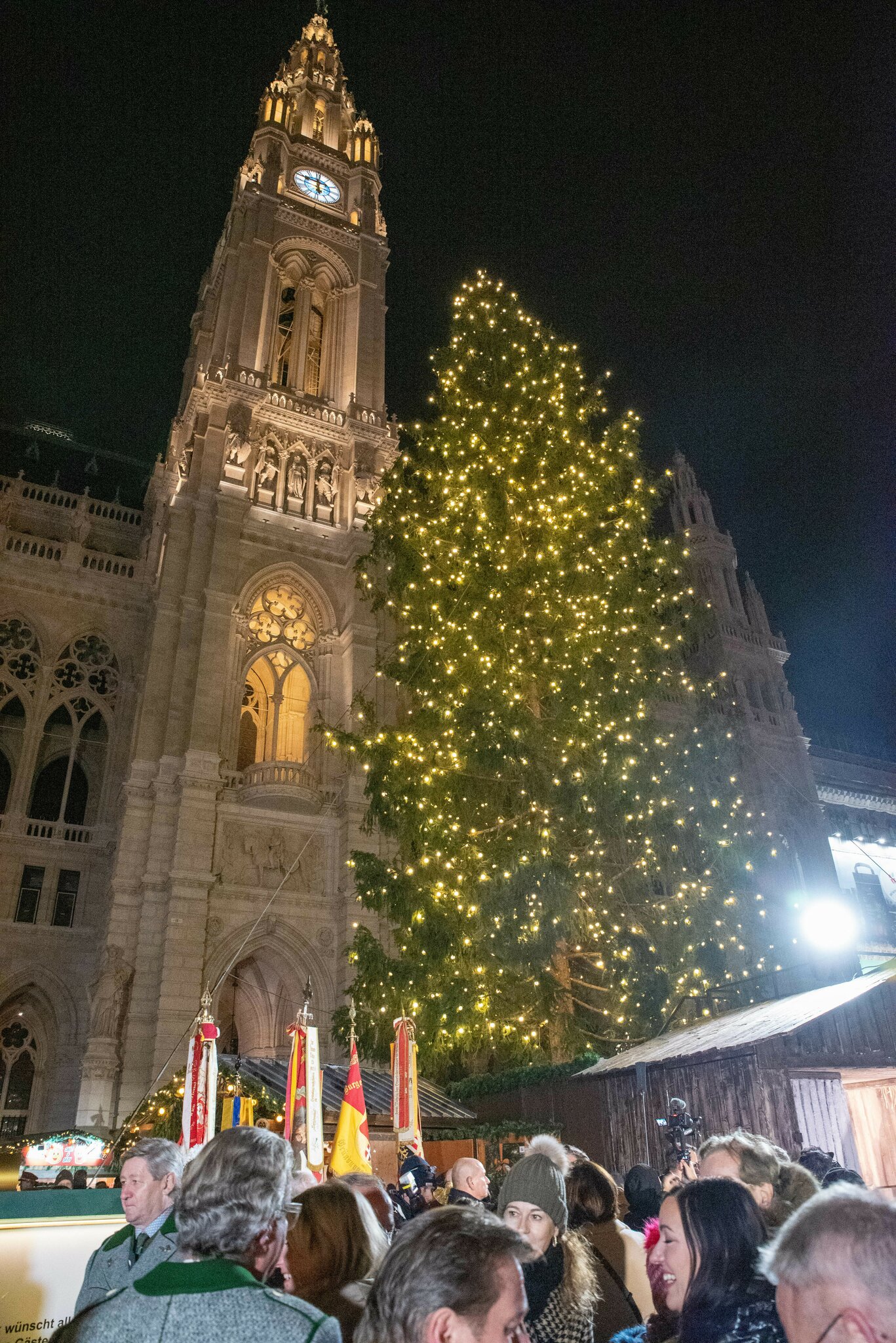 Steirischer Christbaum in Wien: Die grüne Mark erleuchtet im Wiener ...
