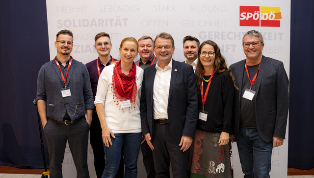 Event in Linz: Perger diskutierten über Chancen für Stadt und Land mit ...