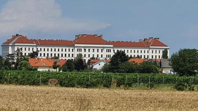 Asyl-Debatte: Situation in Traiskirchen untragbar – Babler fordert ...