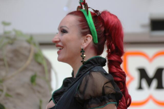 Präsentation der neuen Single Heidi: Lugners Wildsau als Alpen Lydia ...