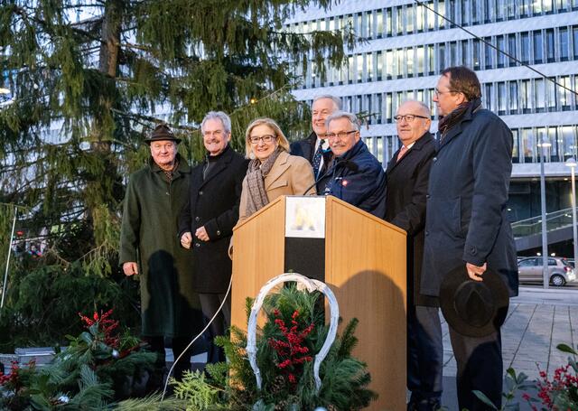 ST. Pölten / Baden: Christbaum-Illuminierung im Niederösterreichischen ...