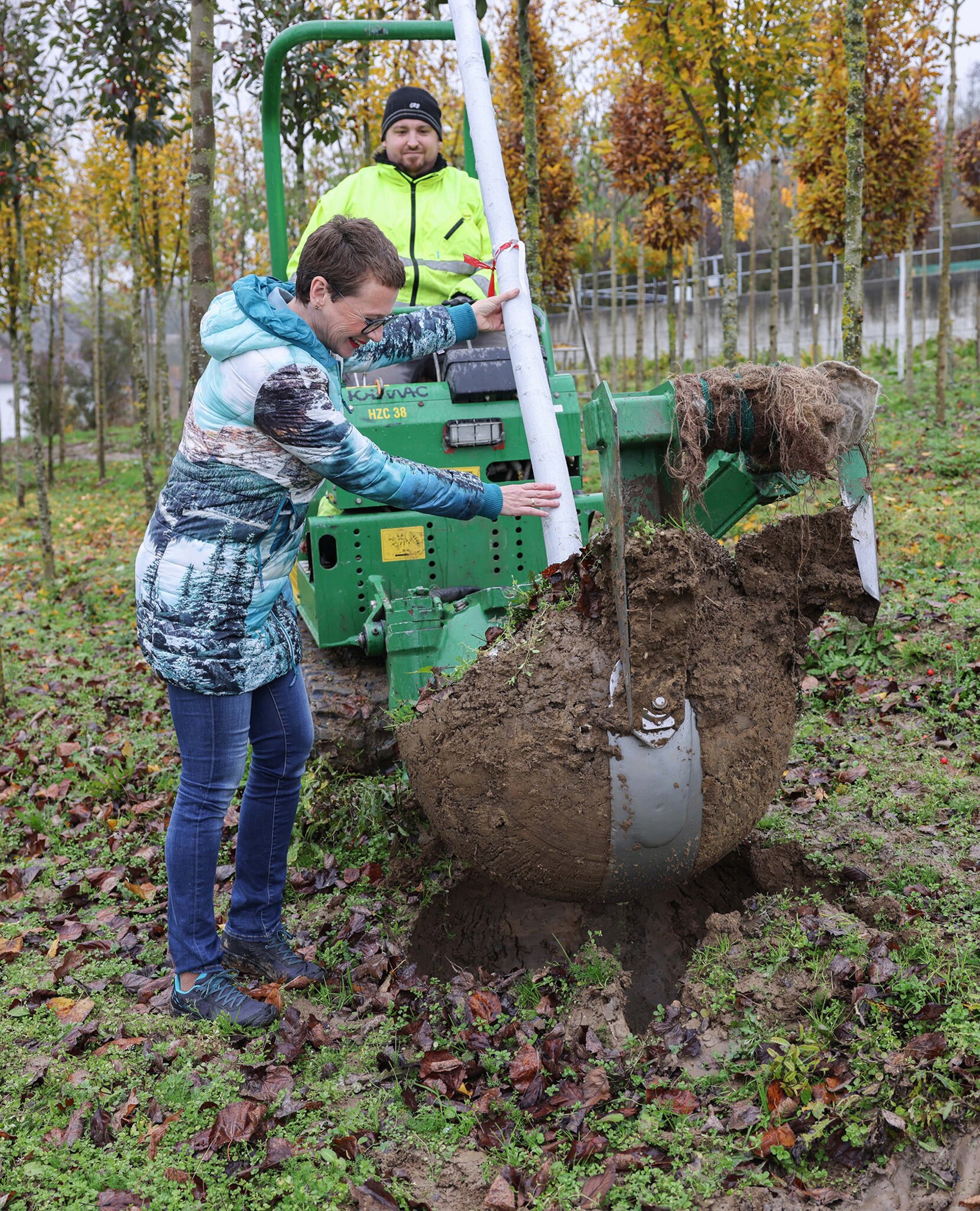 Begrünung: Die Baumschule Linz produziert das städtische Grün - Linz