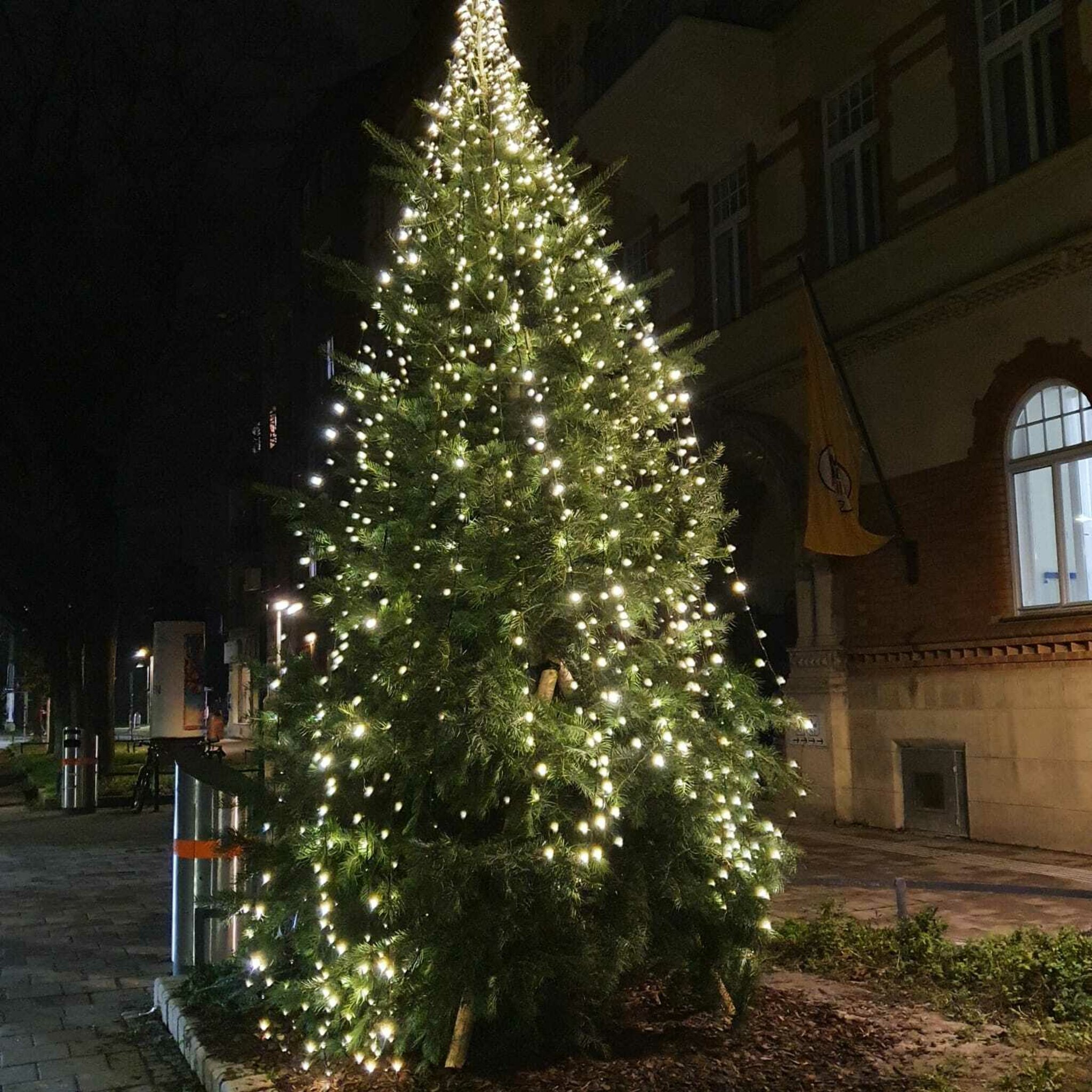 Weihnachten im 20. Bezirk: Christbaum schlägt in der Brigittenau ...