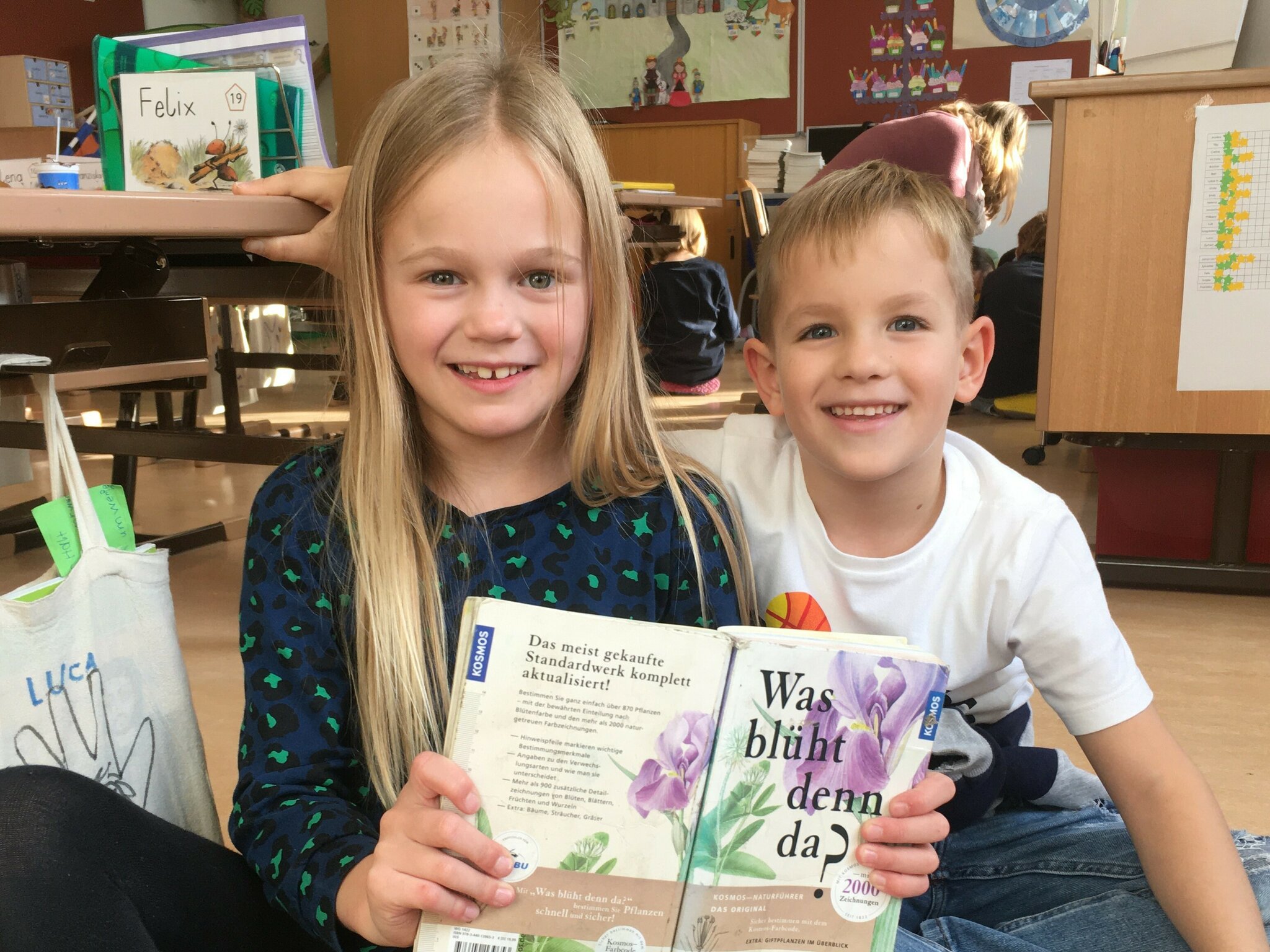 Wissenschaft trifft Schule: Forschen an der selbst gesäten Blumenwiese - Mödling